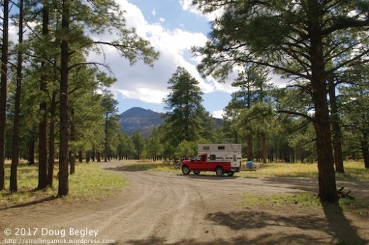 One Confused Camper | Strolling Amok